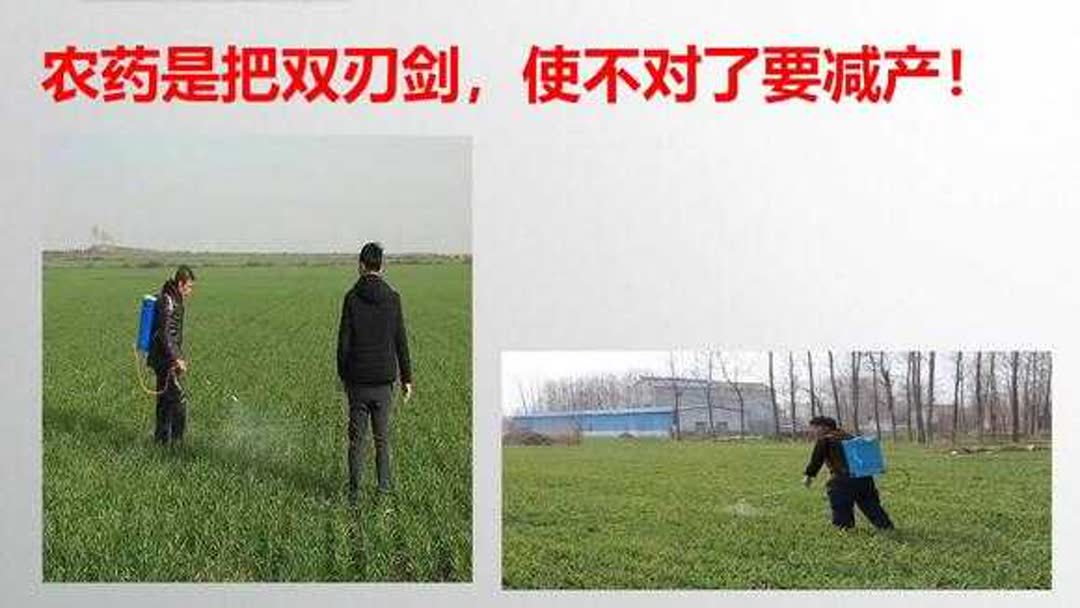 搞不明白中药害!那种农药单打?那些农药能混用?农药使用经验分享