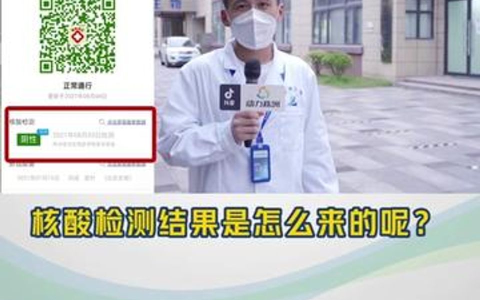核酸检测是怎么出结果的?我们带你走进核酸检测实验室