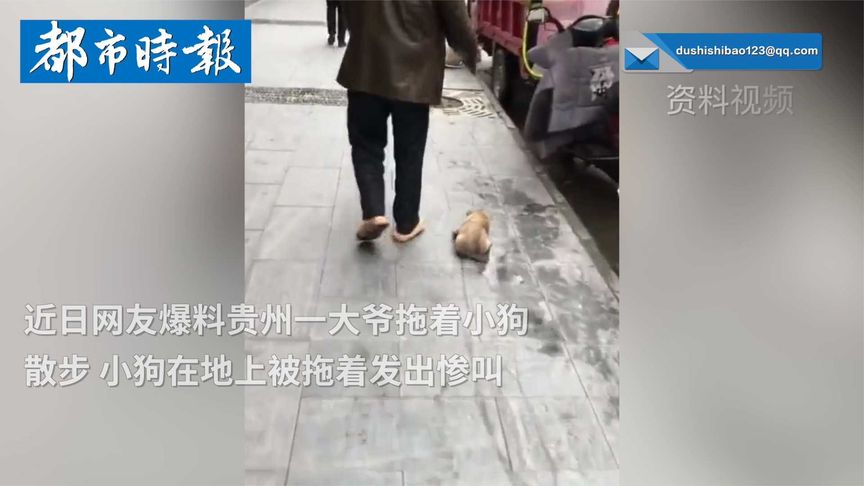 小狗被大爷拖拽发出惨叫