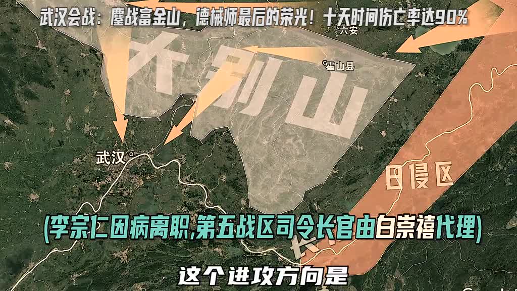 武汉会战:鏖战富金山,德械师最后的荣光!十天时间伤亡率达90%