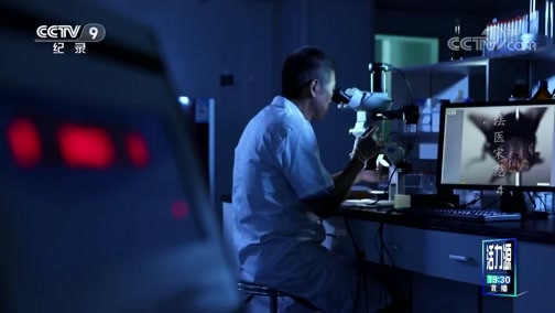 《法医宋慈》第四集:现代根据蛆虫孵化时间可推测死者死亡时间