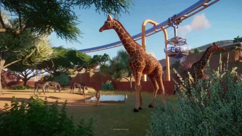 三D动物的世界很精彩,吸引很多小朋友