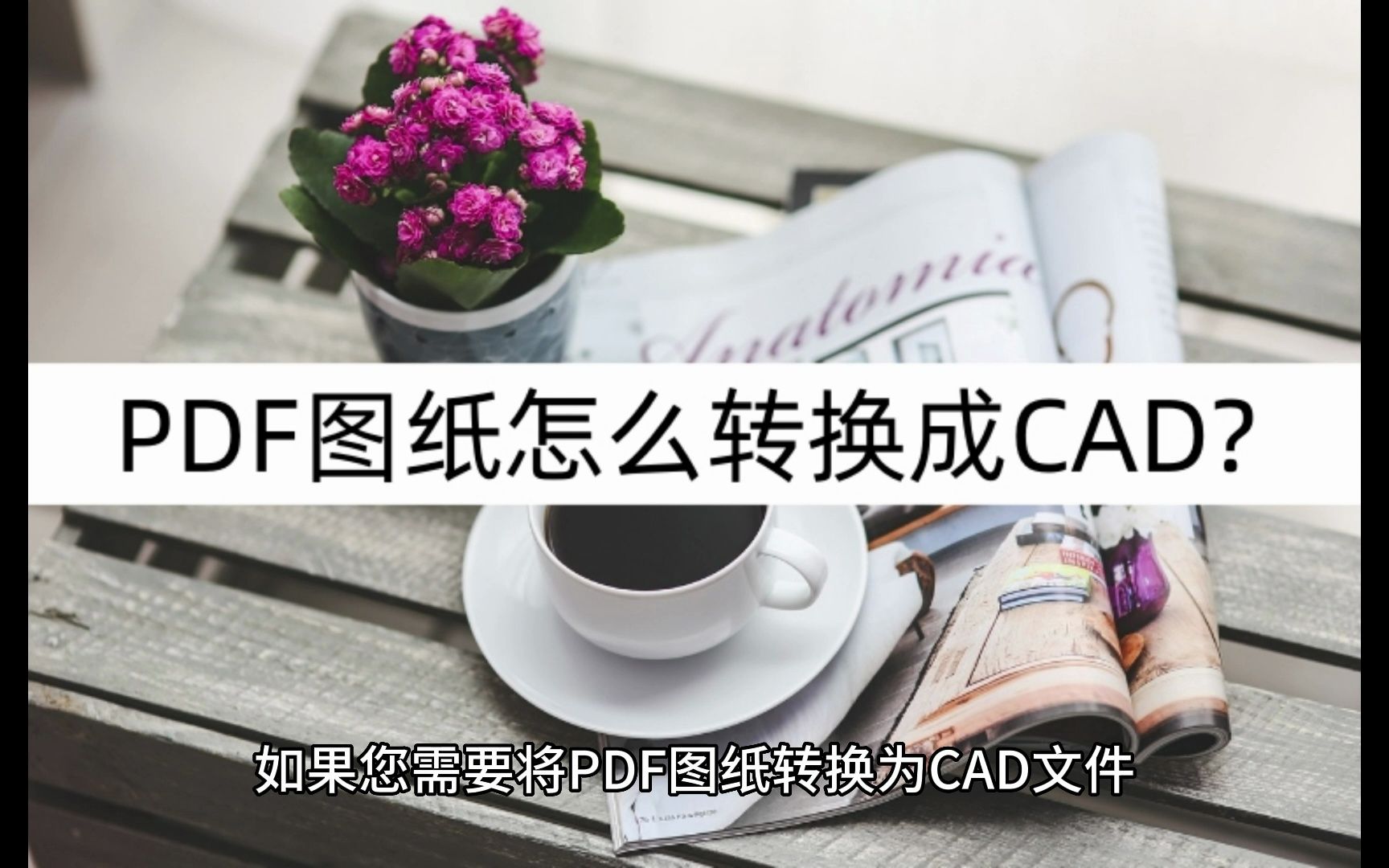 PDF图纸怎么转换成CADPDF转换