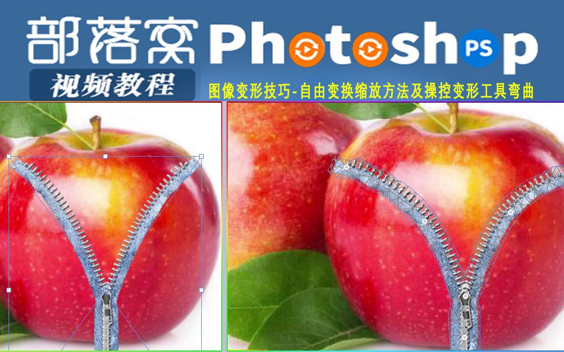 ps图像变形技巧视频:自由变换缩放方法及操控变形工具弯曲