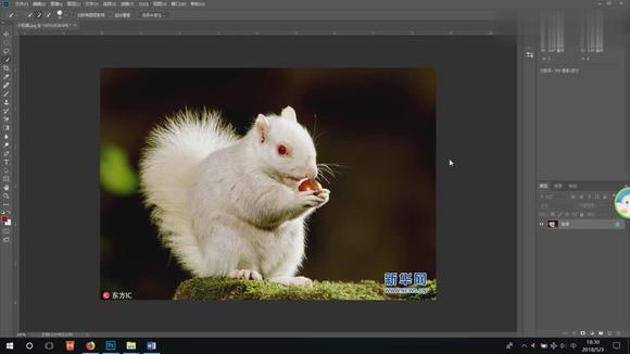 零基础学PS:你不知道的PS抠图技巧——选择并遮住