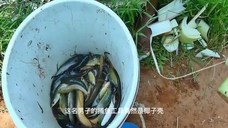 男子在水塘边埋上水管,自动吸水中肥鱼,一会功夫大丰收!
