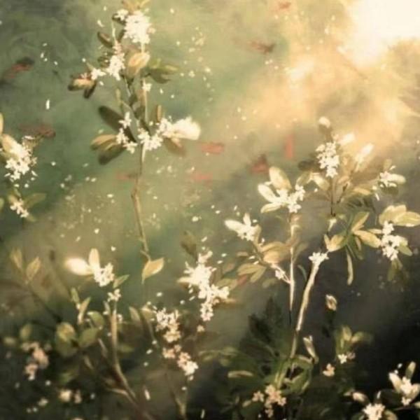 掌上家居d嬴洲科技 