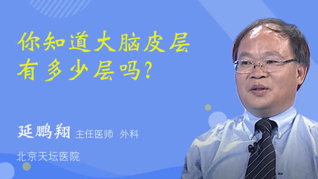 你知道大脑皮层有多少层吗?