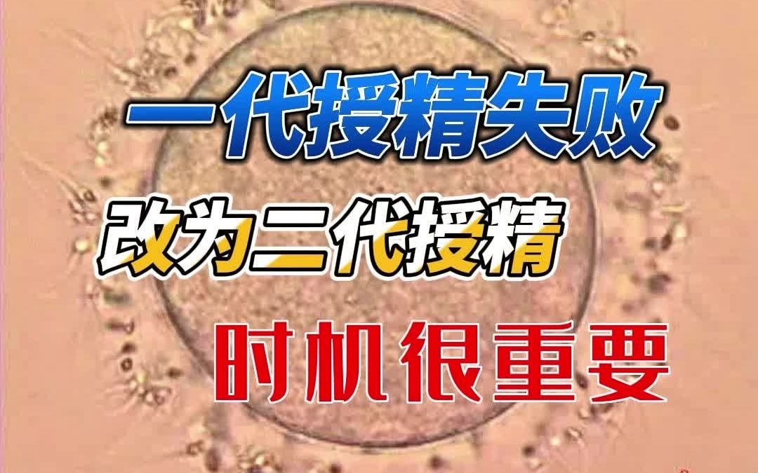 一代授精失败,改二代授精,时机很重要,错过不再有