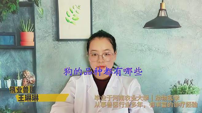 狗的品种都有哪些