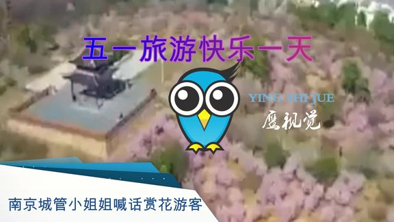 五一南京城管小姐姐最美喊话:愿做花田小可爱,不做春风中铁憨。