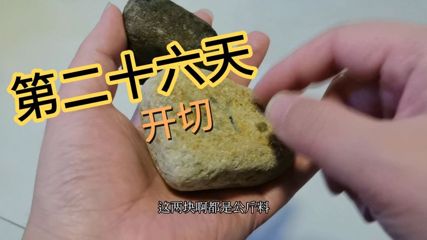 第二十六天挑战公斤料切冰种翡翠,最后切出个什么玩意,有谁知道