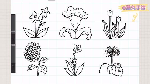 一组简单又实用的植物简笔画,收藏起来教孩子做手帐吧
