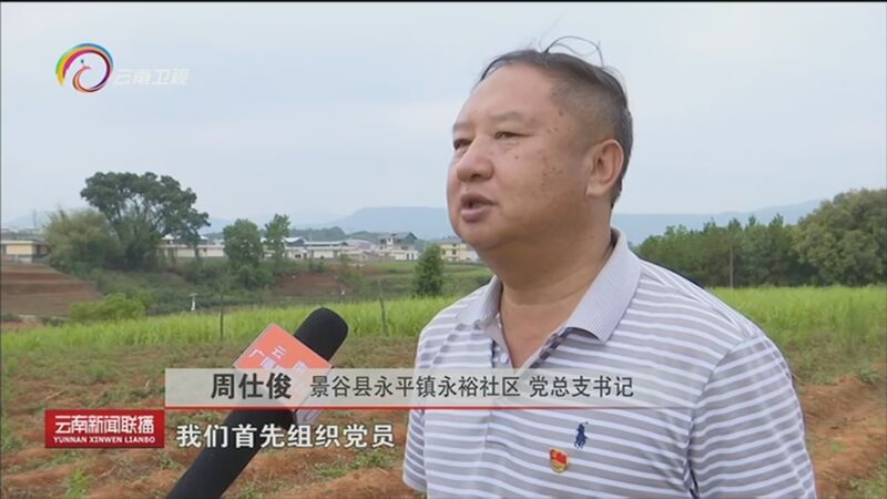 ...衔接10种实践模式 普洱市景谷县党建领航 助力集体经济五年增长14倍