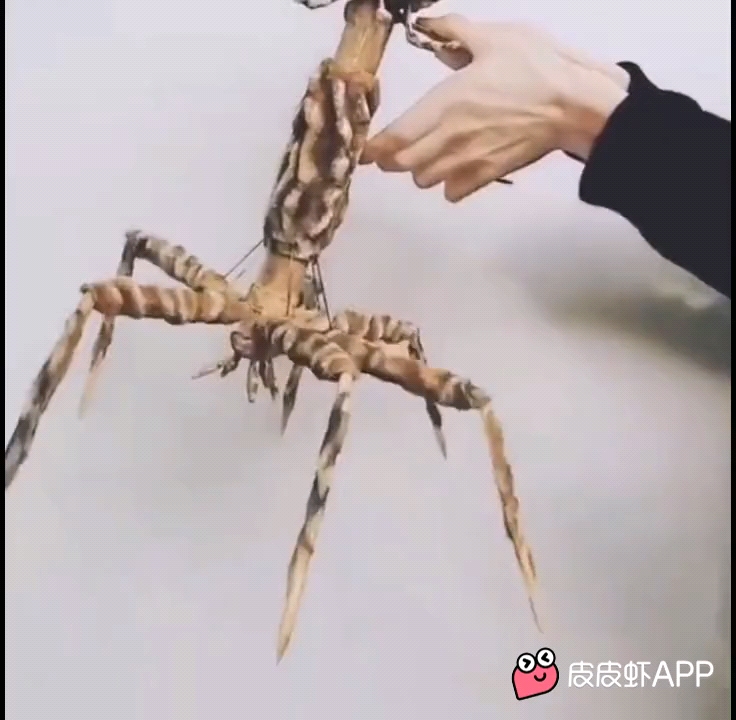 这是噬菌体模型