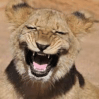 趋心纪说说生活 