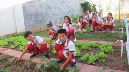 花开新时代-中心小学家校宣传片