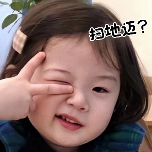 饭圈扫地姐姐 