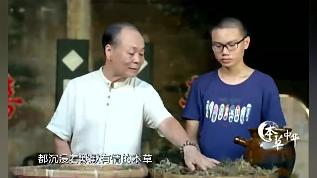 本草 蛇舌草的功效