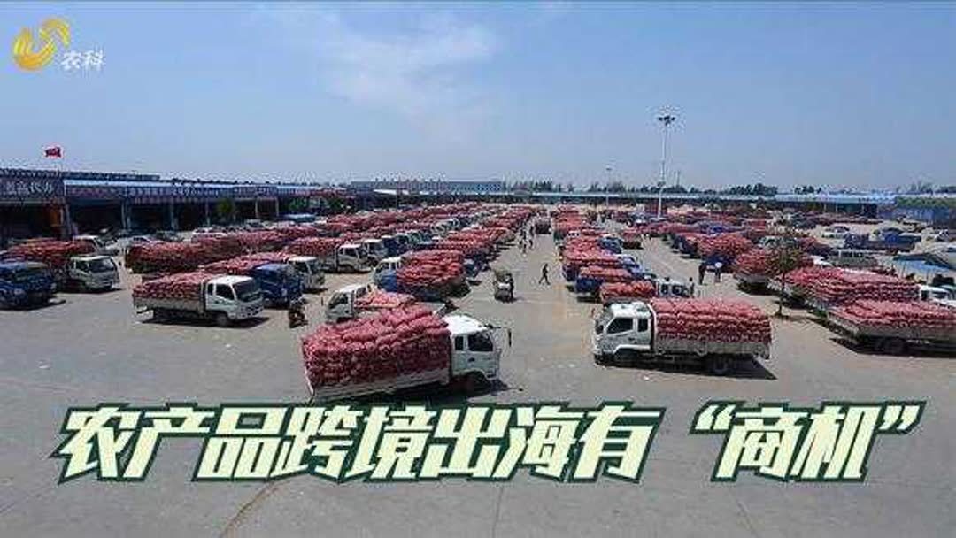 有商机!一季度我国进出口同比增长近3成,民营企业如何做出口?