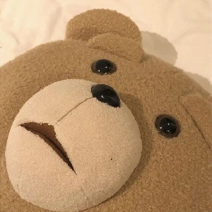 小胡鸭的小虎牙 