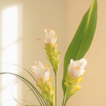 郭老师说语文 