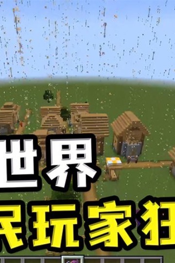 我的世界:怎样能突袭村庄成功呢?