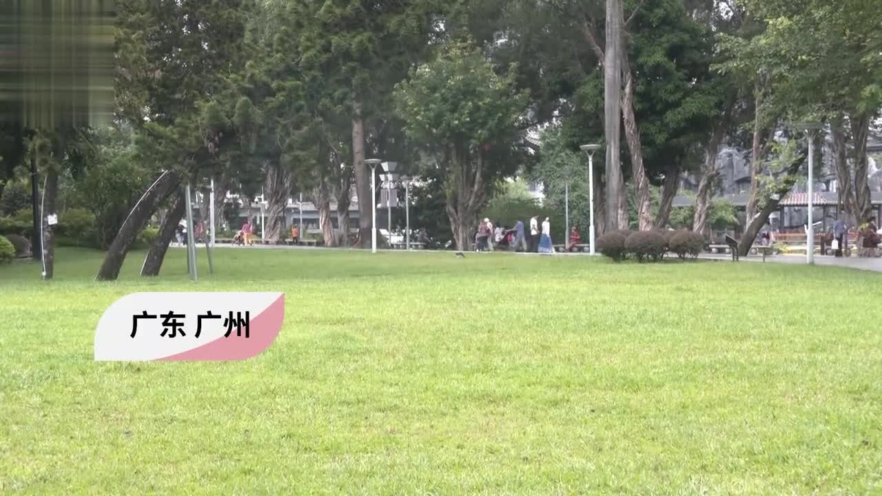 好消息!广州拟出公园管理新规:划定分区提高服务