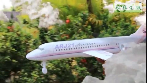 小型客机飞机玩具遇到恶劣天气在河边降落
