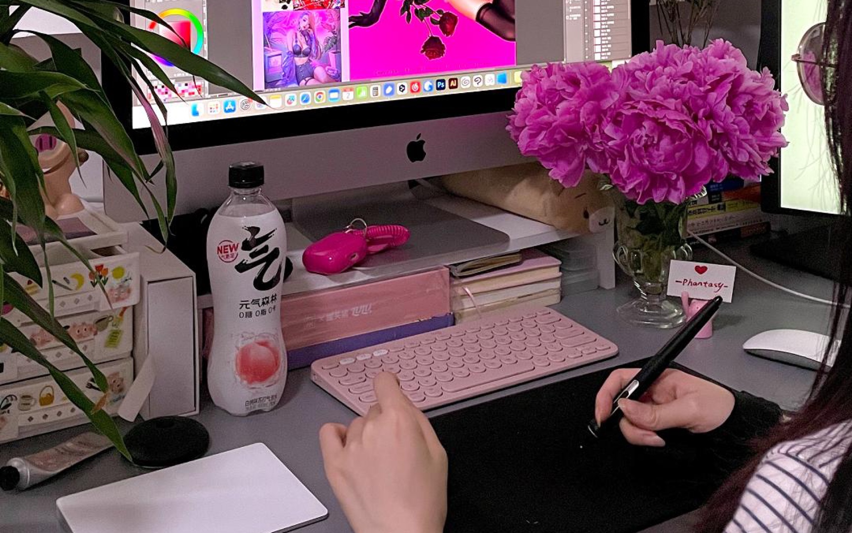 在mac电脑上插画师的工作流程与创作软件