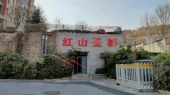 齐鲁早报|全国脱贫攻坚总结表彰大会今天举行,山东普降春雨雪