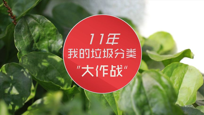 11年,我的垃圾分类“大作战”