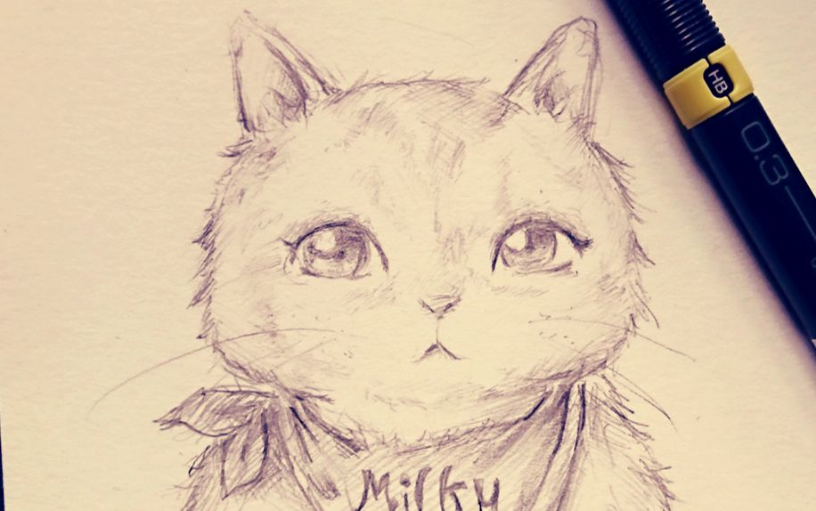 【第一次上传的手绘】(●′ω`●) 静静的看我画一只猫咪吗?❤