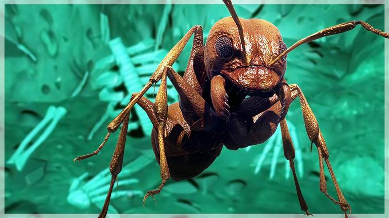 微小世界生存战:嗜血蚁丘!为了宝藏我们只能以身犯险!