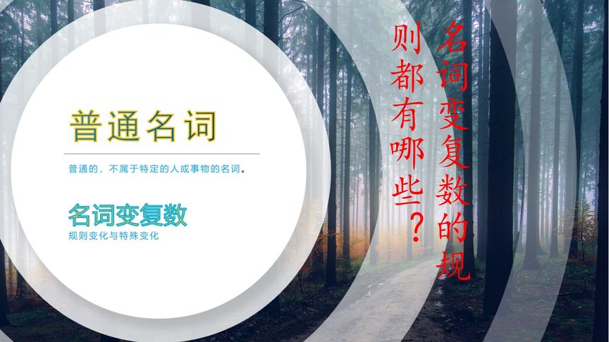 理解普通名词,掌握名词变复数规则。