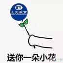 姜堰上元教育焦老师 