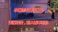 荒野行动: 小编怎么不见了? 无视攻击的bug, 别人看不到你