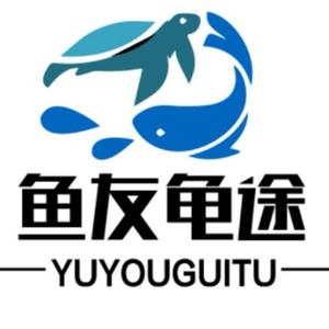 鱼友龟途 