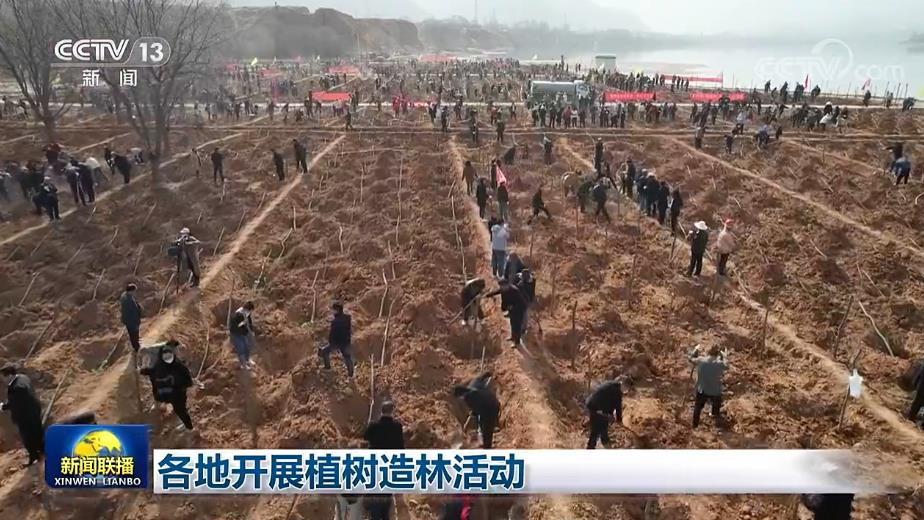 [视频]各地开展植树造林活动