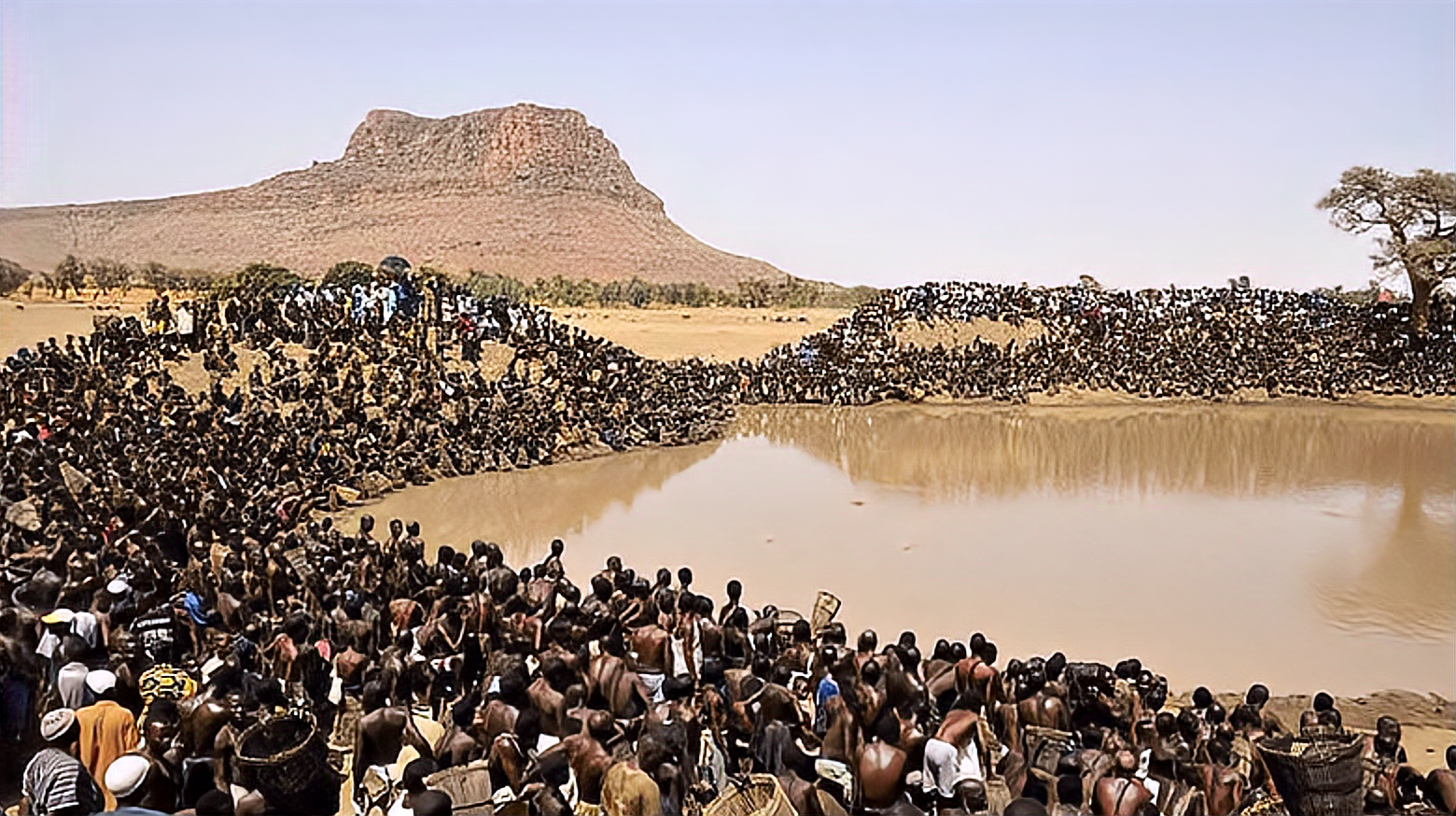 非洲大型捕鱼现场,人比鱼还要多,10万条鱼瞬间就被一扫而空!