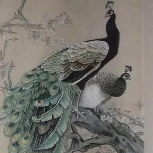 宝儿妈生活记 