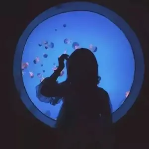 社会光微镜 
