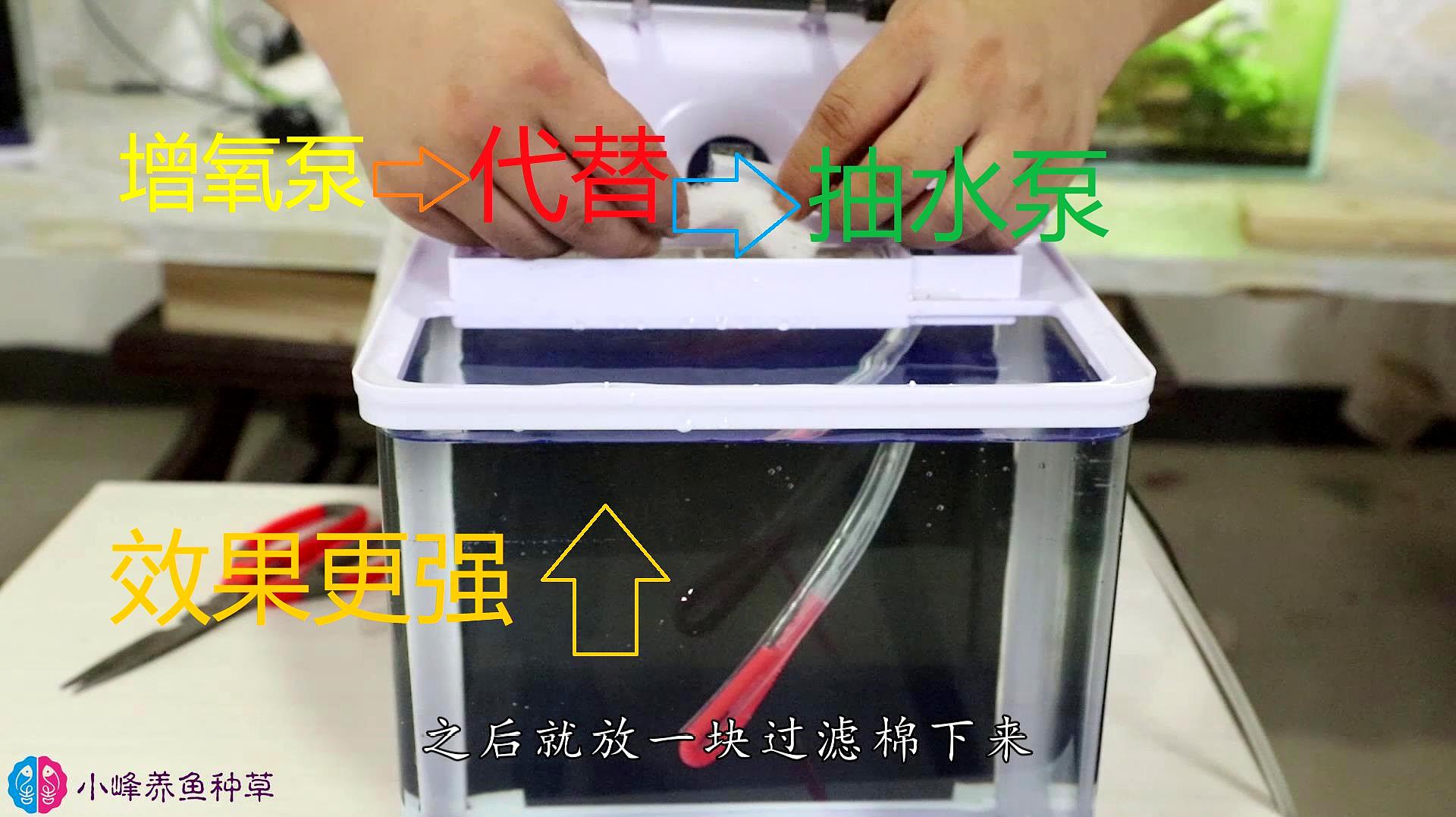 增氧泵“代替”抽水泵,感觉效果强10倍,鱼缸不怕缺氧了