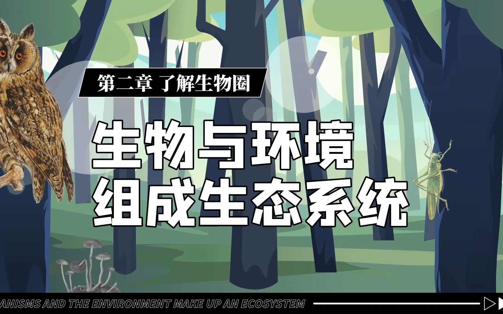 生物七上课件 | 生物与环境组成生态系统(人教版)