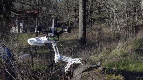 论仿生学的应用,我就服它!