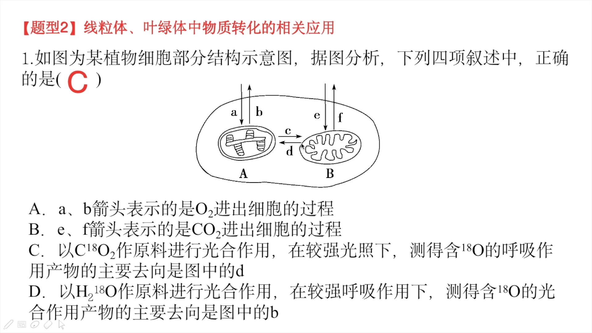 ...必修一分子与细胞:光合作用和呼吸作用综合题型2 线粒体,叶绿体中...