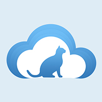 云猫增长实验室 