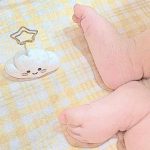 胖jiojio手帐 