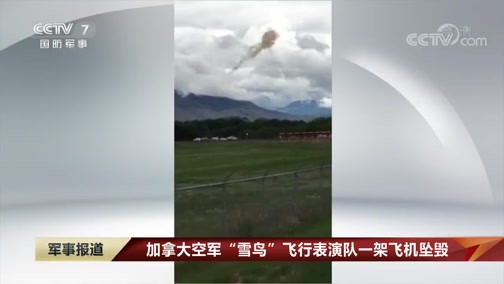 [军事报道]加拿大空军“雪鸟”飞行表演队一架飞机坠毁