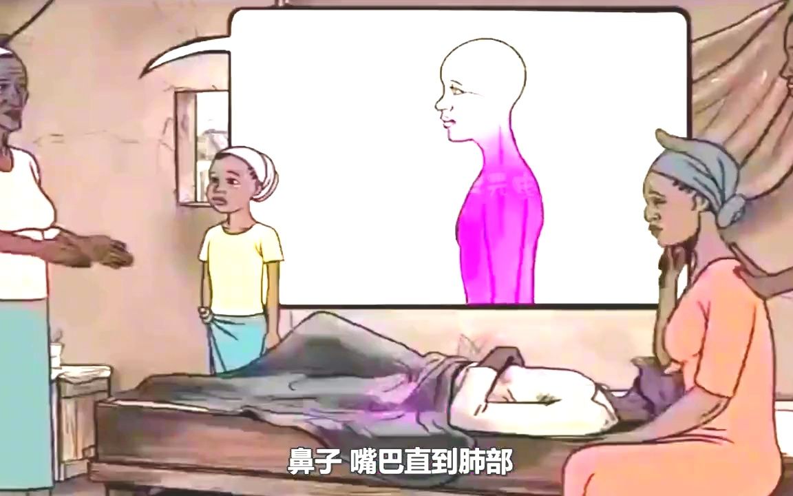 老人喜欢吃蝙蝠肉,结果被感染上可怕的埃博拉病毒 动画短片